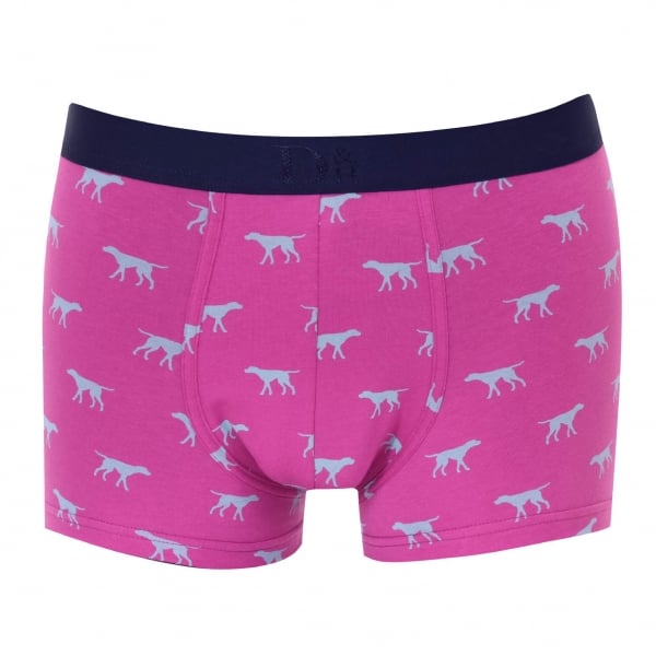 Gary Lineker to present Match of the Day in his pants